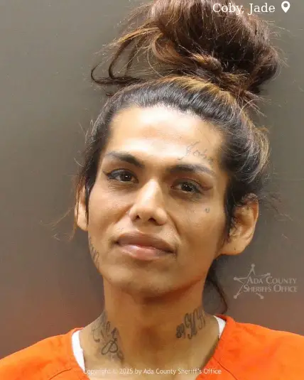 Jade Coby booked for Grand Theft by Receiving, Possessing or Disposing ...