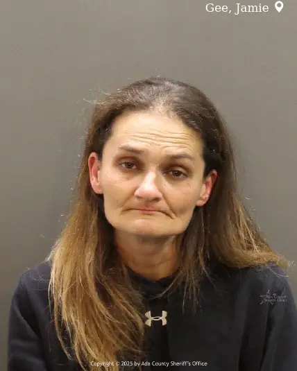 Jamie Gee booked for False Information Provided to an Officer ...