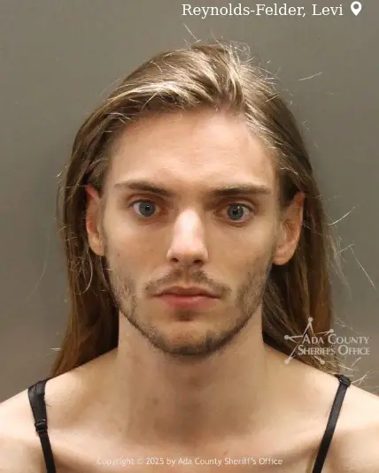 Levi Reynolds-Felder booked for Controlled Substance-Possession of ...
