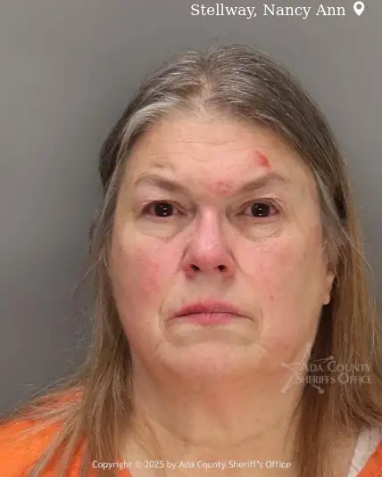 Nancy Stellway booked for Battery-Domestic Violence | I18-918(3)(B)F