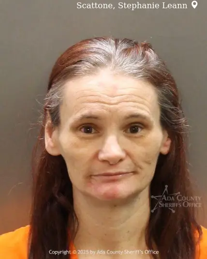 Stephanie Scattone booked for Probation Violation - FE | FPV