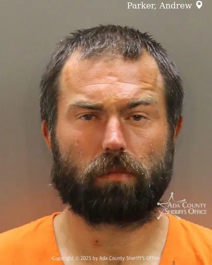 Andrew Parker booked for Disorderly Conduct | M354-6-3-2