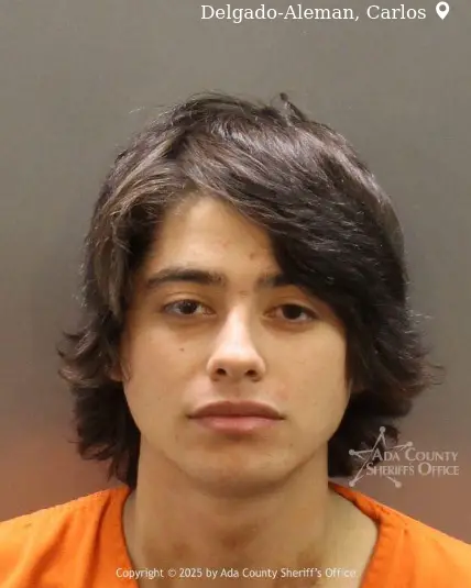 Carlos Delgado-Aleman booked for Pedestrian-Under the Influence of ...