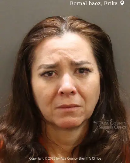 Erika Bernal-baez booked for Children-Injury To Child | I18-1501(1)F