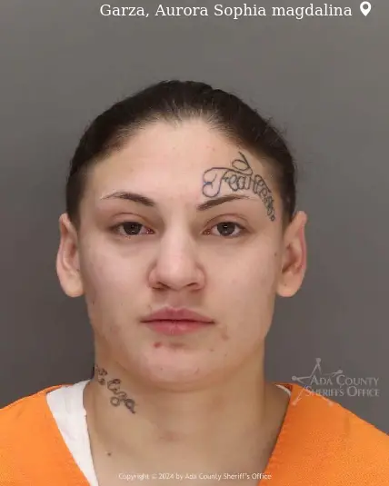 Aurora Garza booked for Officer-Flee or Attempt to Elude a Police ...