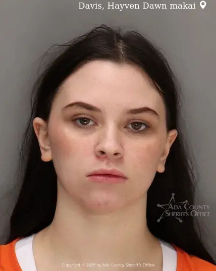 Hayven Davis booked for Correctional Facilities - Introduce or attempt ...