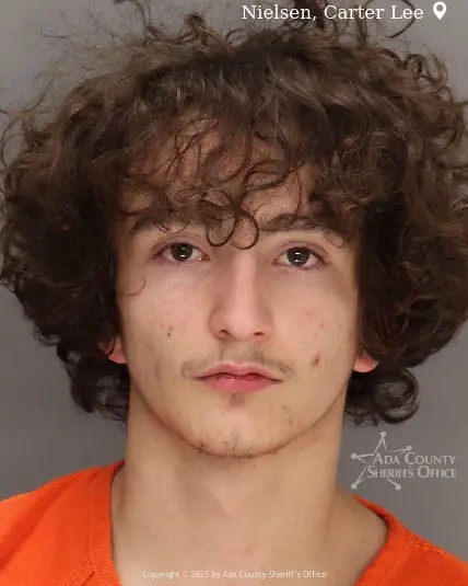 Carter Nielsen booked for Drug-Trafficking in Methamphetamine or ...