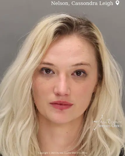 Cassondra Nelson booked for Driving Under the Influence - Excessive ...