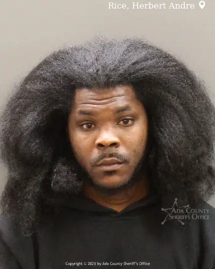 Herbert Rice booked for Controlled Substance-Possession of Marijuana ...