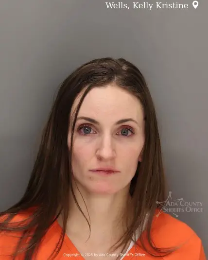 Kelly Wells booked for Domestic Battery or Assault In The Presence of a ...