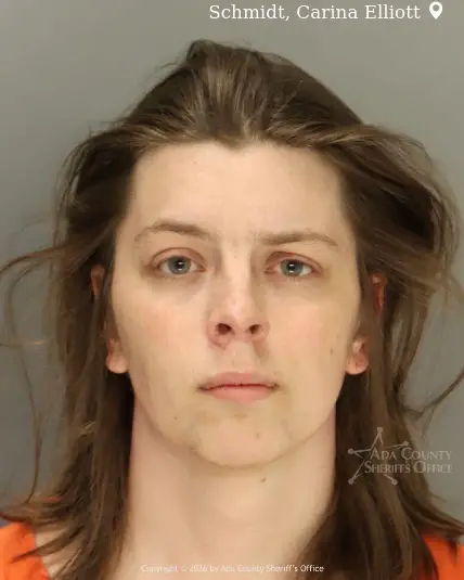 Arrested Archives - Boise Busted